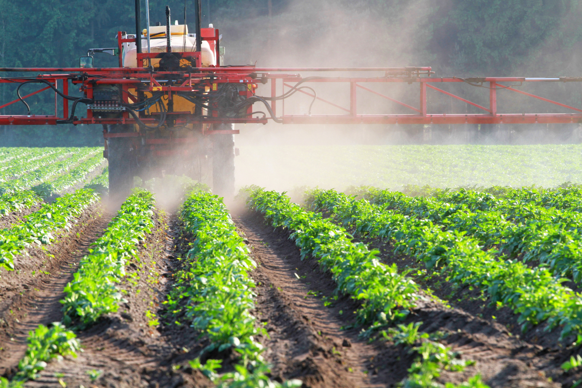 Poisoning from Pesticides and 8 ways to reduce your exposure