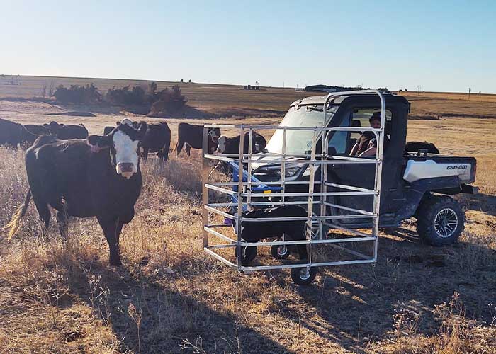 Calf Catcher | Fast Catch Calf Catcher for Side-By-Side