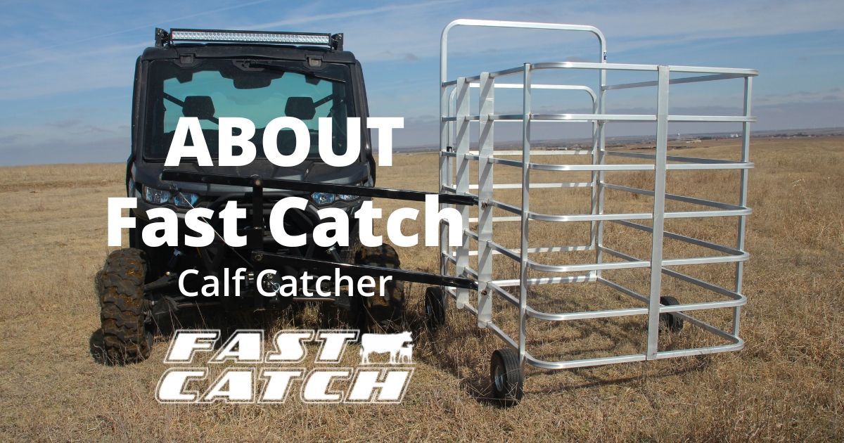About Fast Catch Calf Catcher | Calf Catcher for UTV