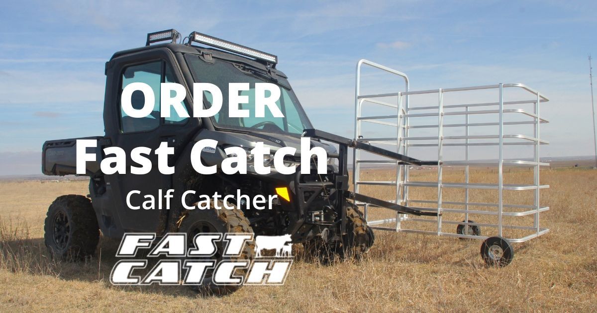 Order Fast Catch Calf Catcher | Catch Calves Safely