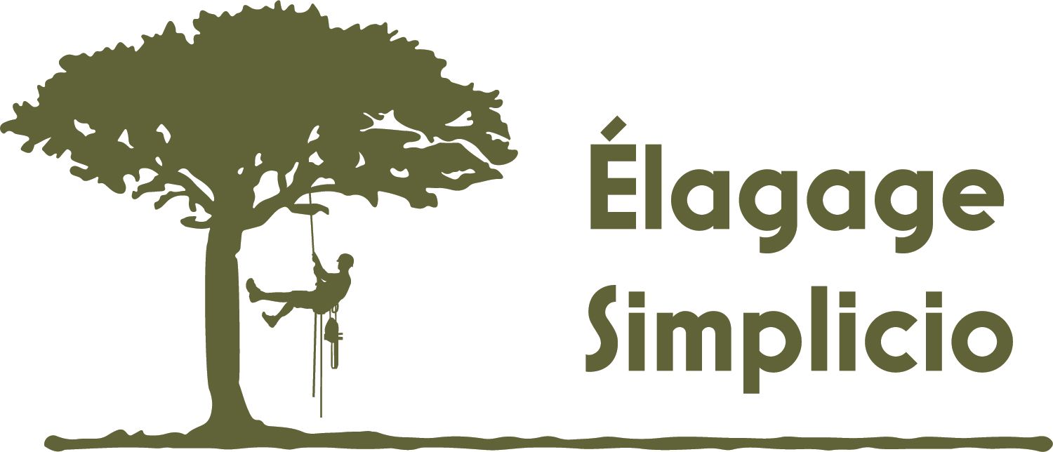 Maladies et parasites | Élagage Simplicio