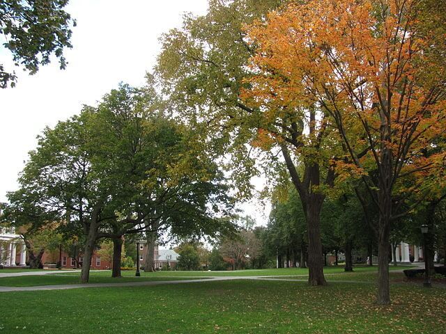 College Spotlight: Tufts University