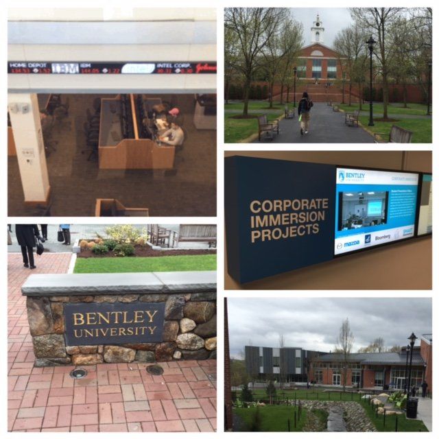 College Spotlight: Bentley University