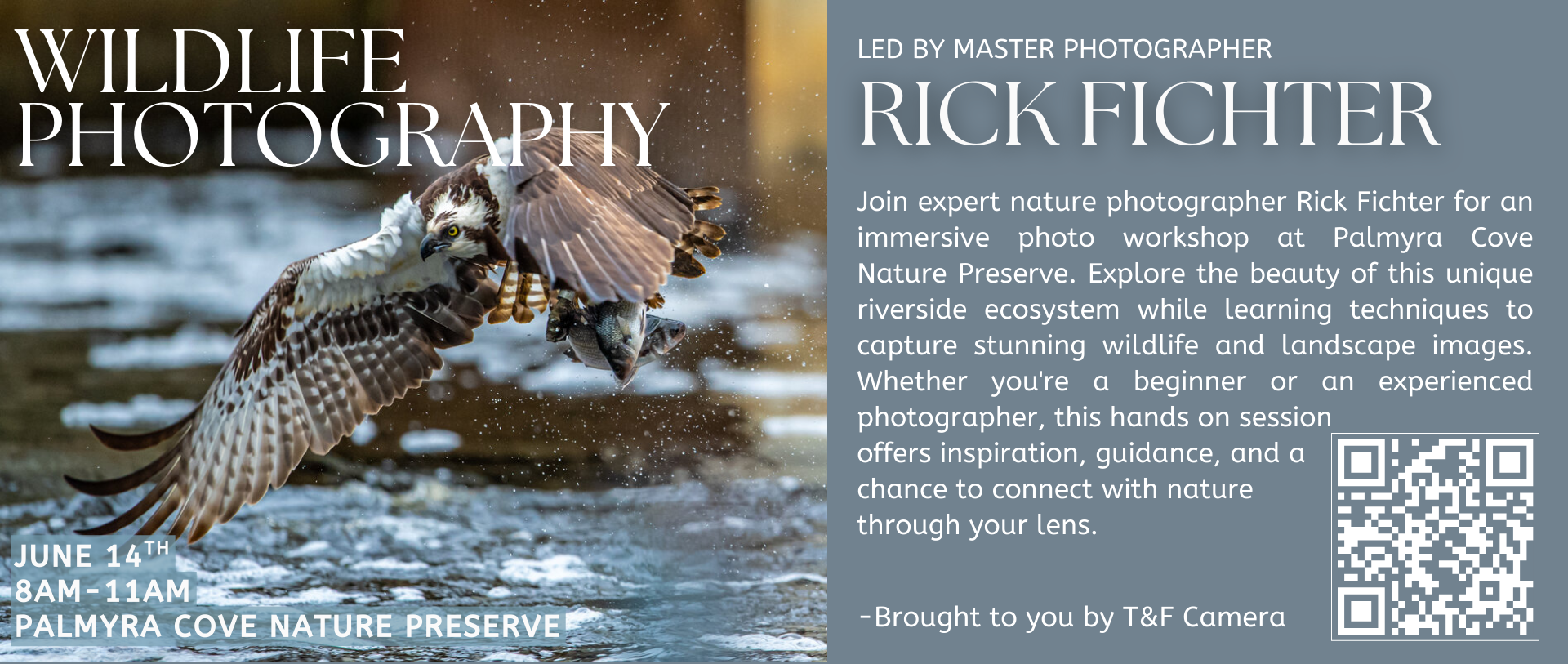 T & F Camera | Cameras and Photography Equipment