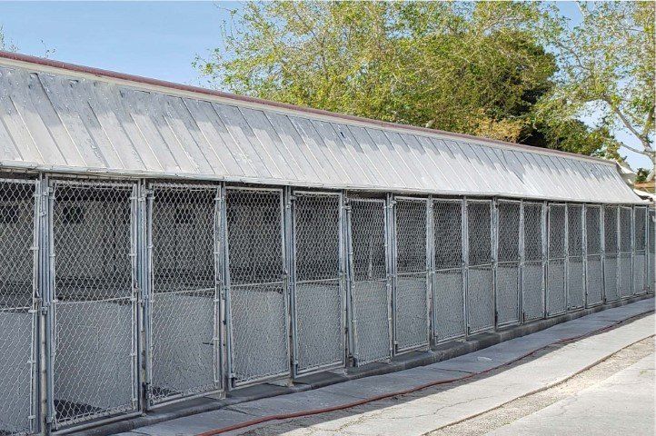 Local Pet Hotel | Las Vegas Strip, NV | The Animal Inn