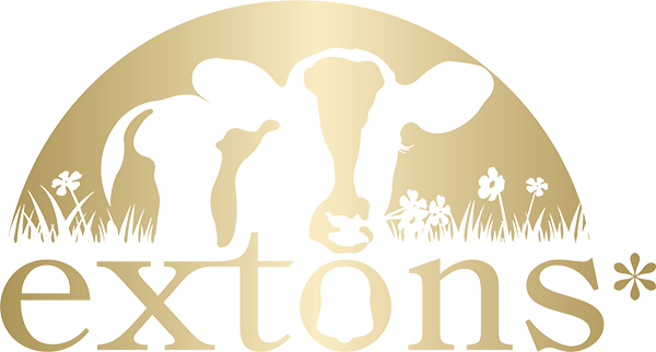 FOOD SERVICE | EXTONS 2023