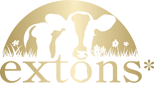 FOOD SERVICE | EXTONS 2023