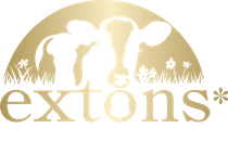 Expert cheese packing and slicing company | EXTONS FOOD 2023 Manchester
