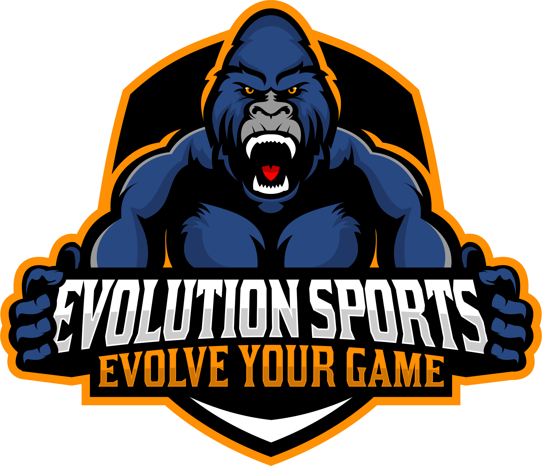 Cricket Coaching Services with Evolution Sports | Christchurch