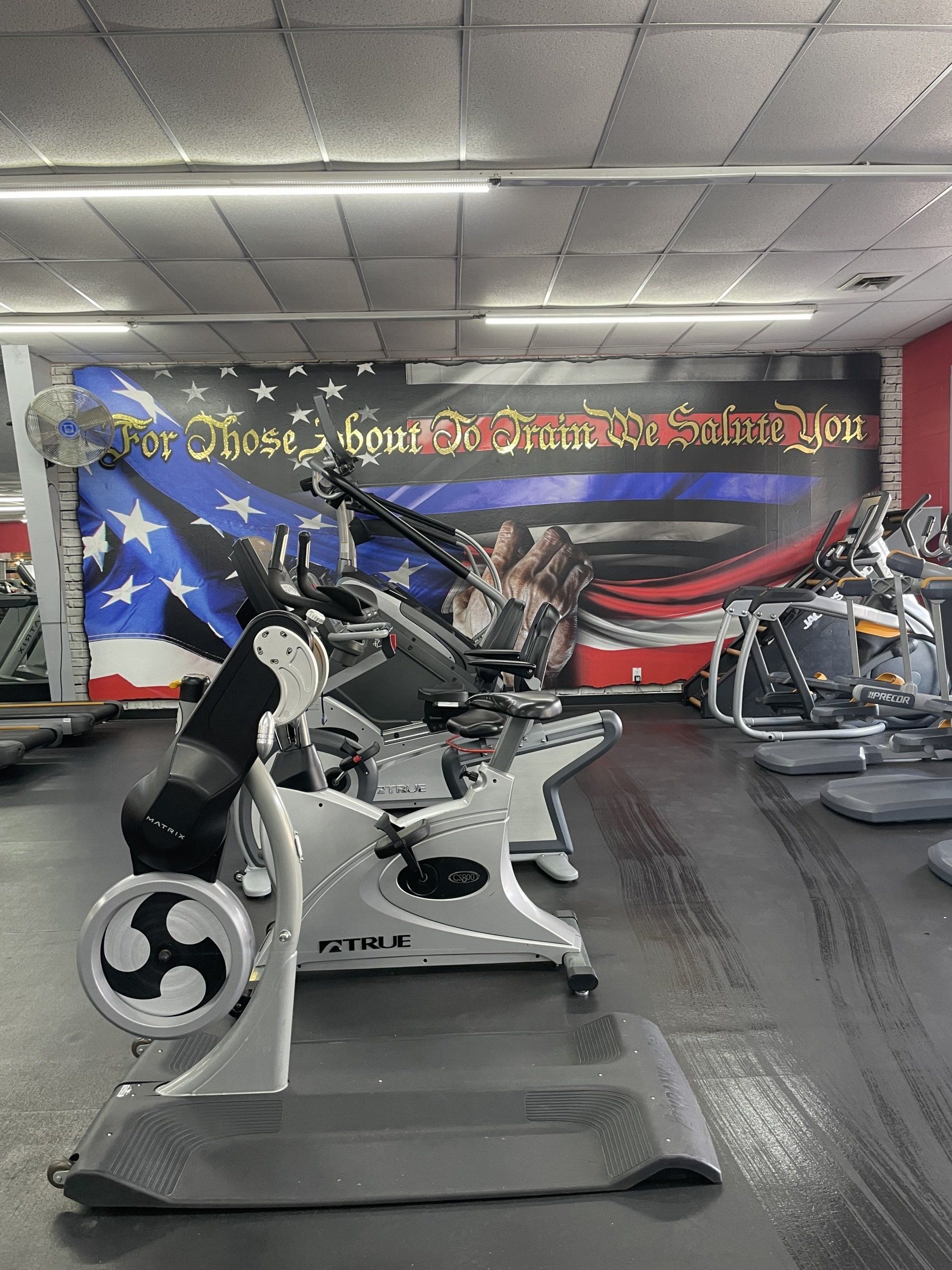 American Muscle | House Springs Gallery