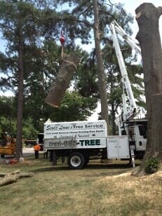 Home | Chesapeake, VA | Scott Lane's Tree Service