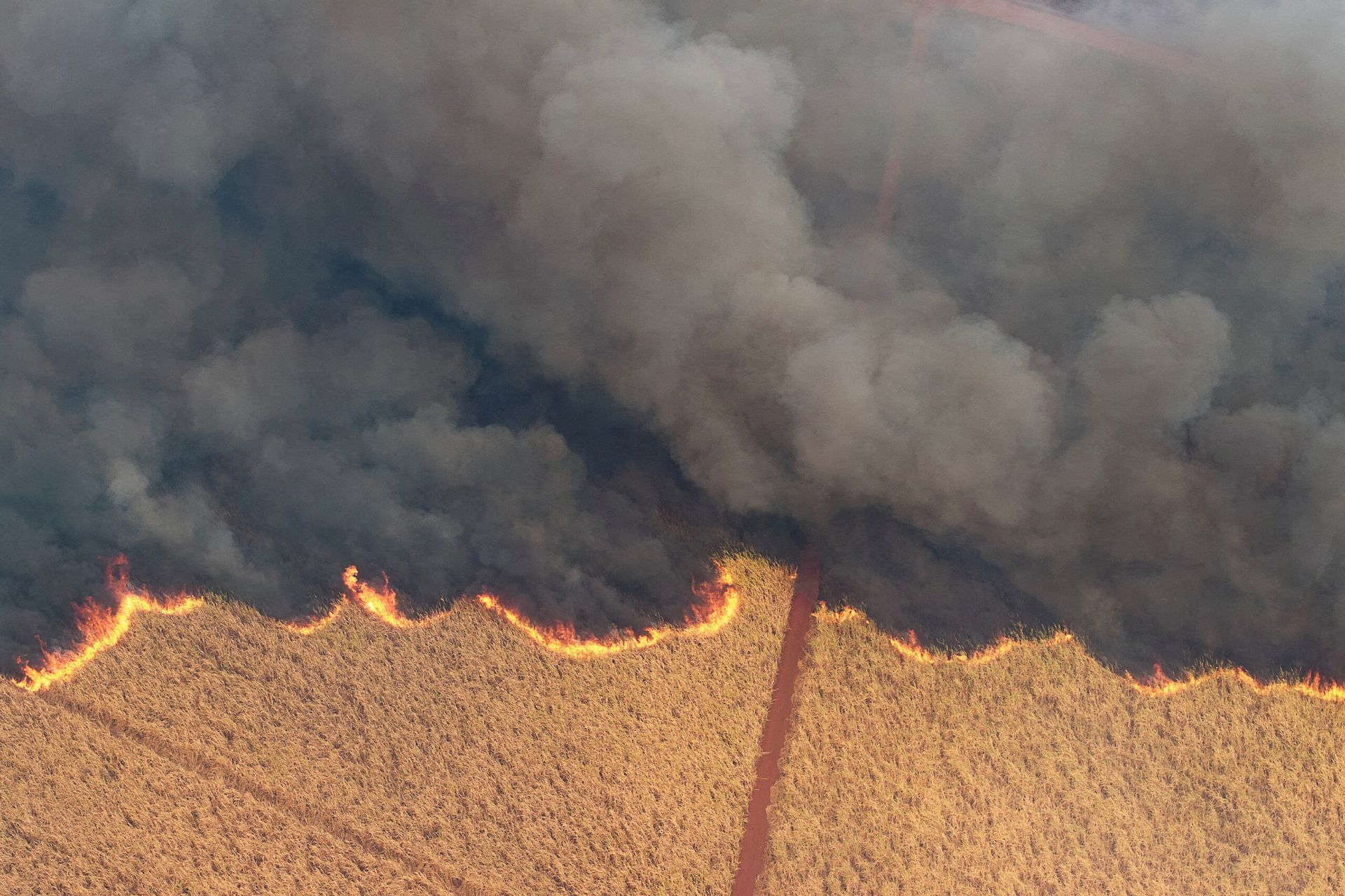 Queimadas no Brasil: Desafios e Realidades do Agronegócio