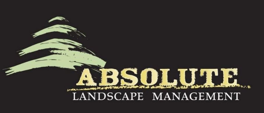 Hedge & Shrub Trimming Nazareth PA, Best Pruning Services