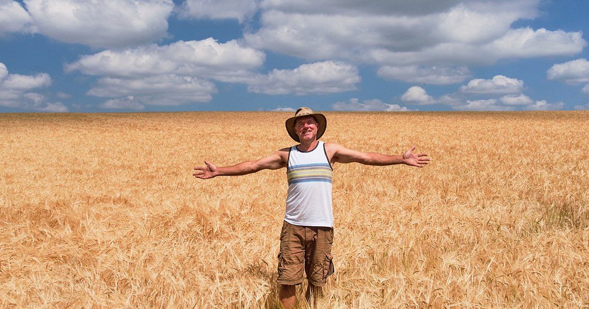 Heritage Cob & Lime Devon | Recommended Thatching Services