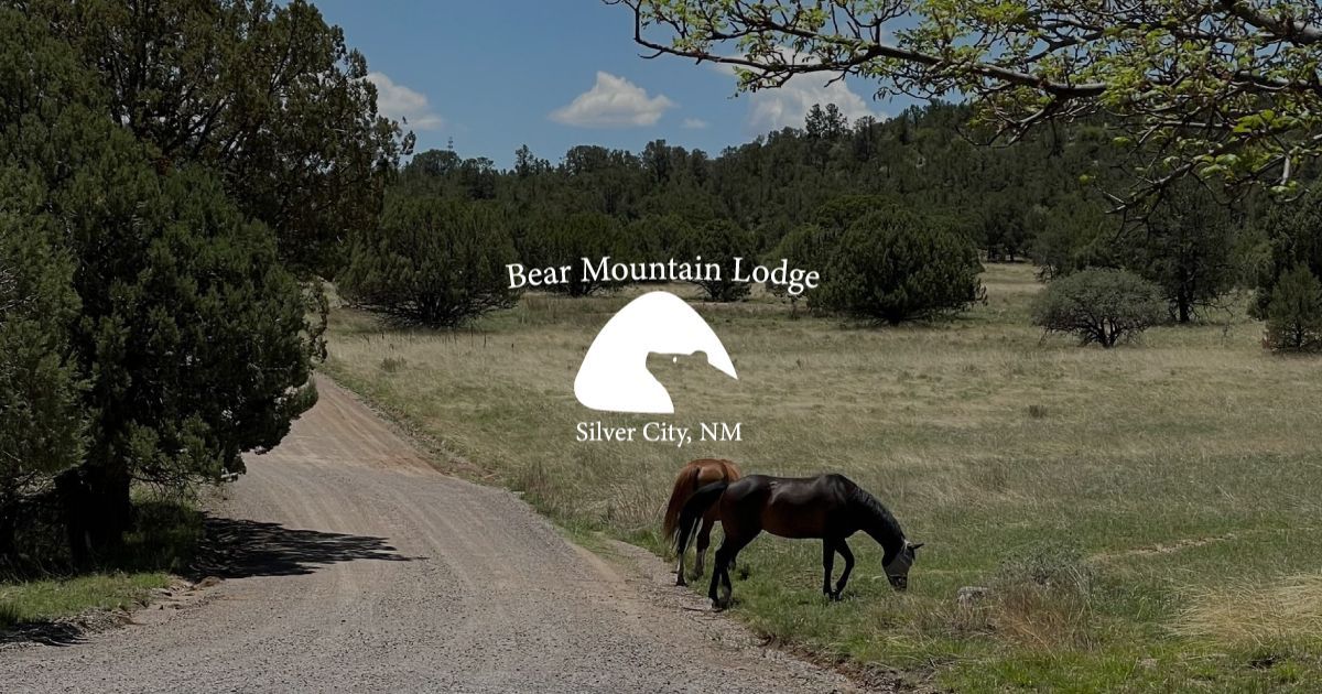 The Road to Palomas, Mexico