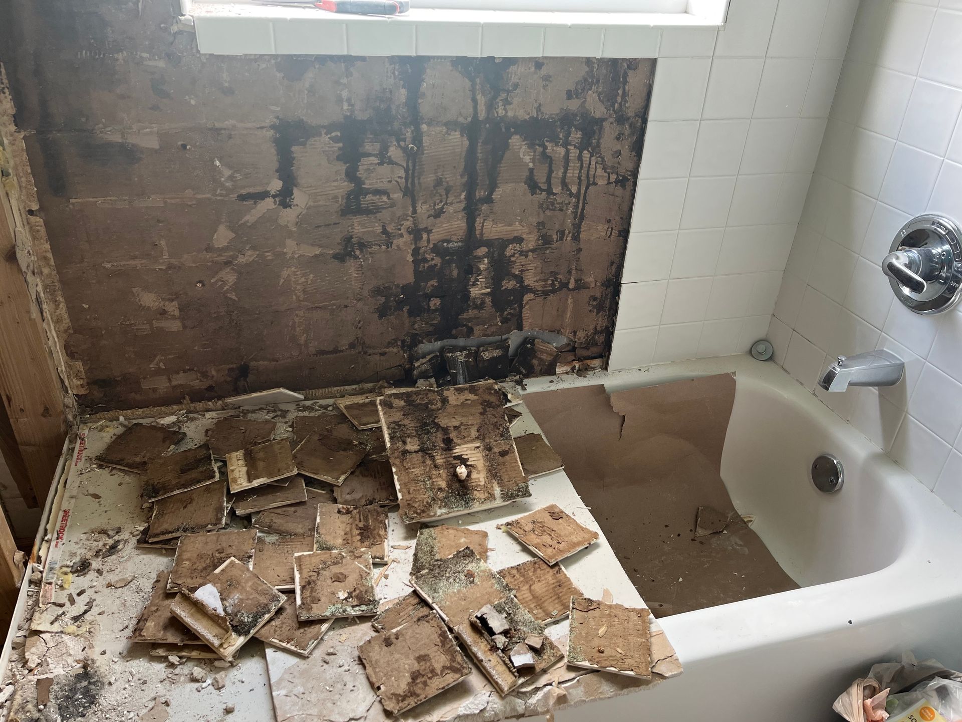 Water Damage Restoration & Mold Removal | PUDDLES Restoration | Ocala, FL