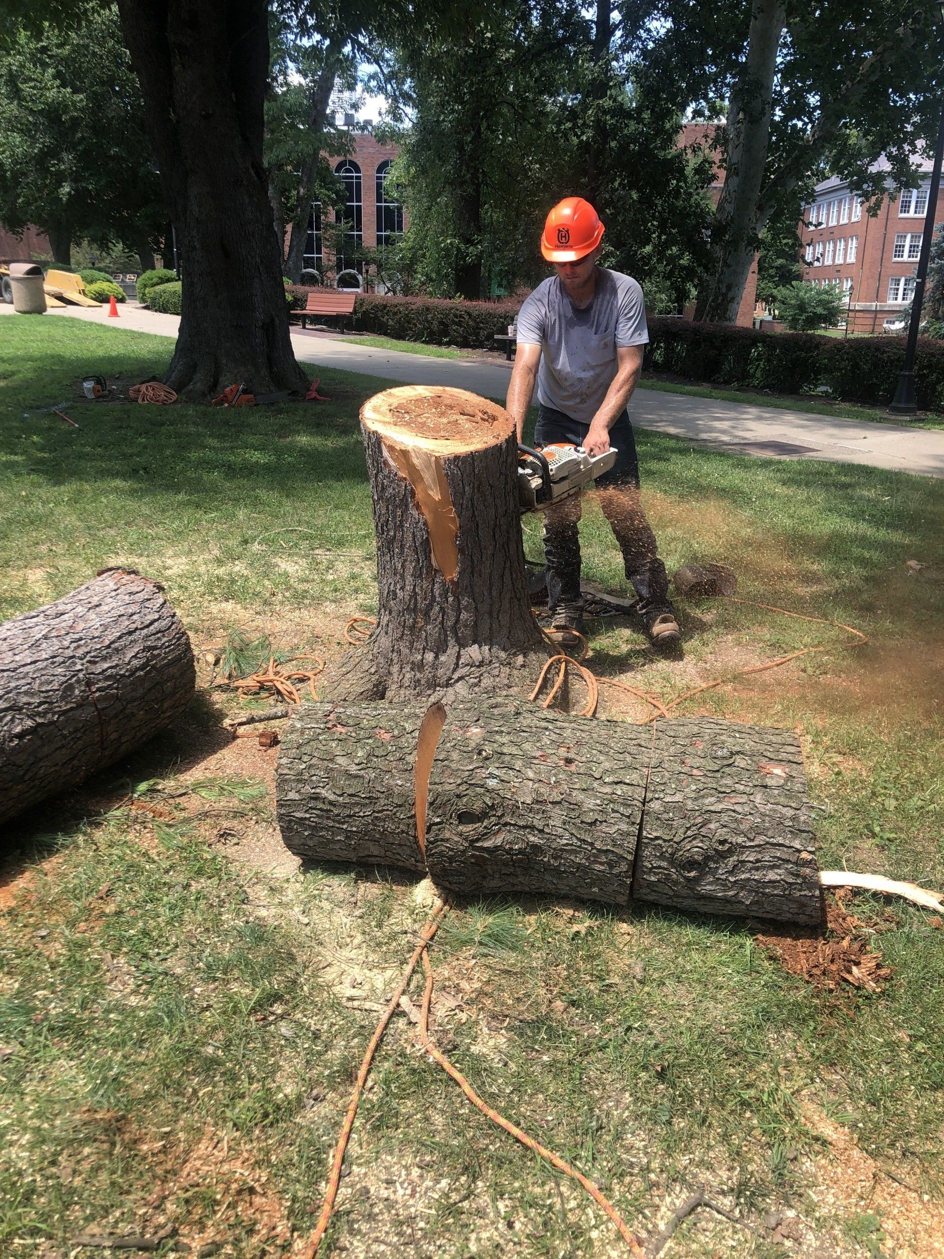 Expert Tree Services | Ashland, KY | C & A Tree Service