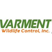 Humane Wildlife Removal | Varment Wildlife Control | NY