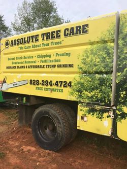 Tree Care Needs Met | Hickory, NC | Absolute Tree Care of Hickory, LLC