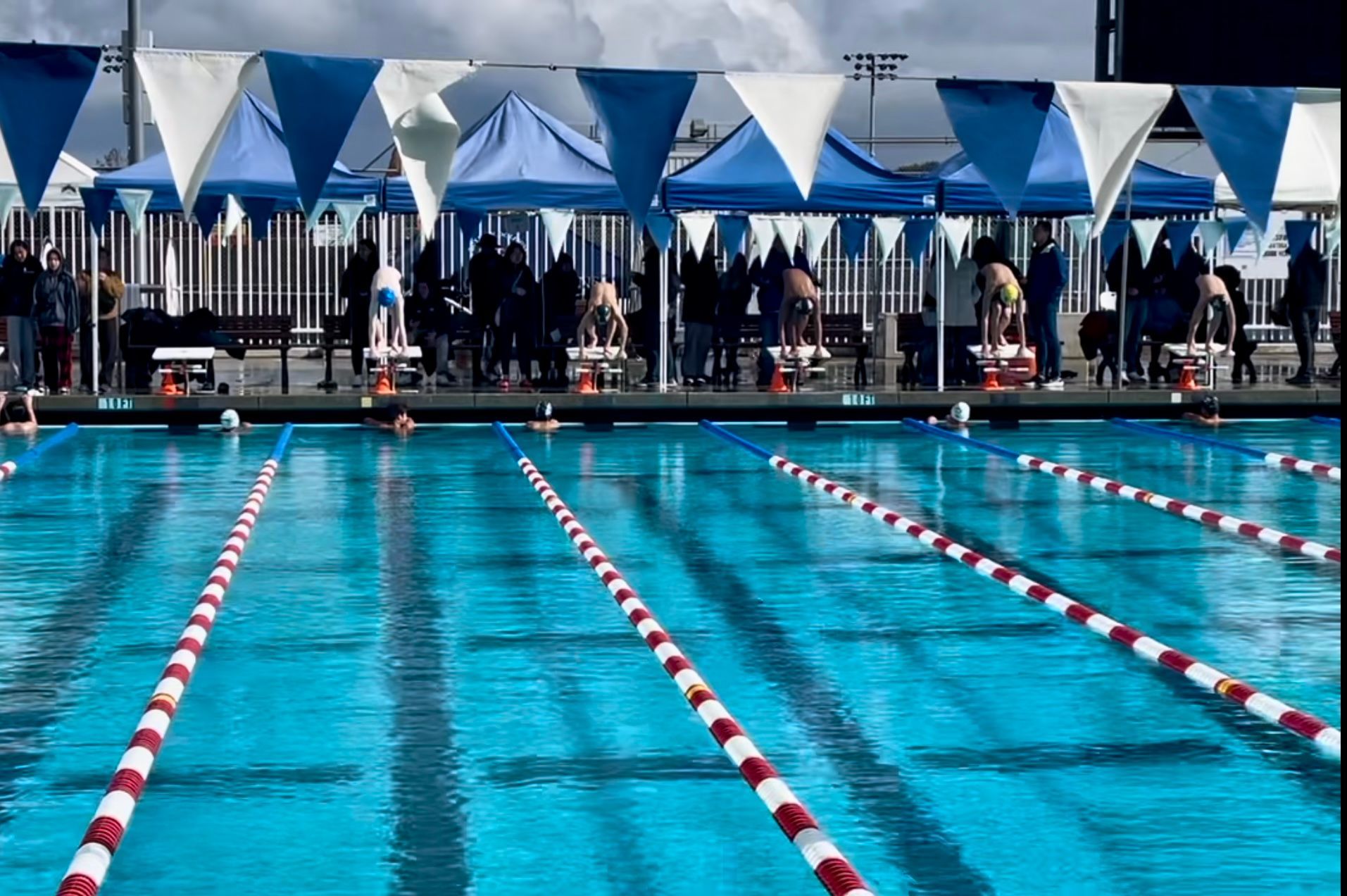 Safe Sport | Rogue Rapids Swim Team