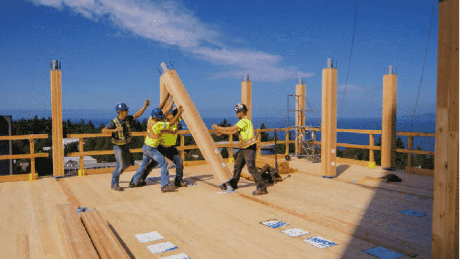 Mid-Rise Timber Buildings