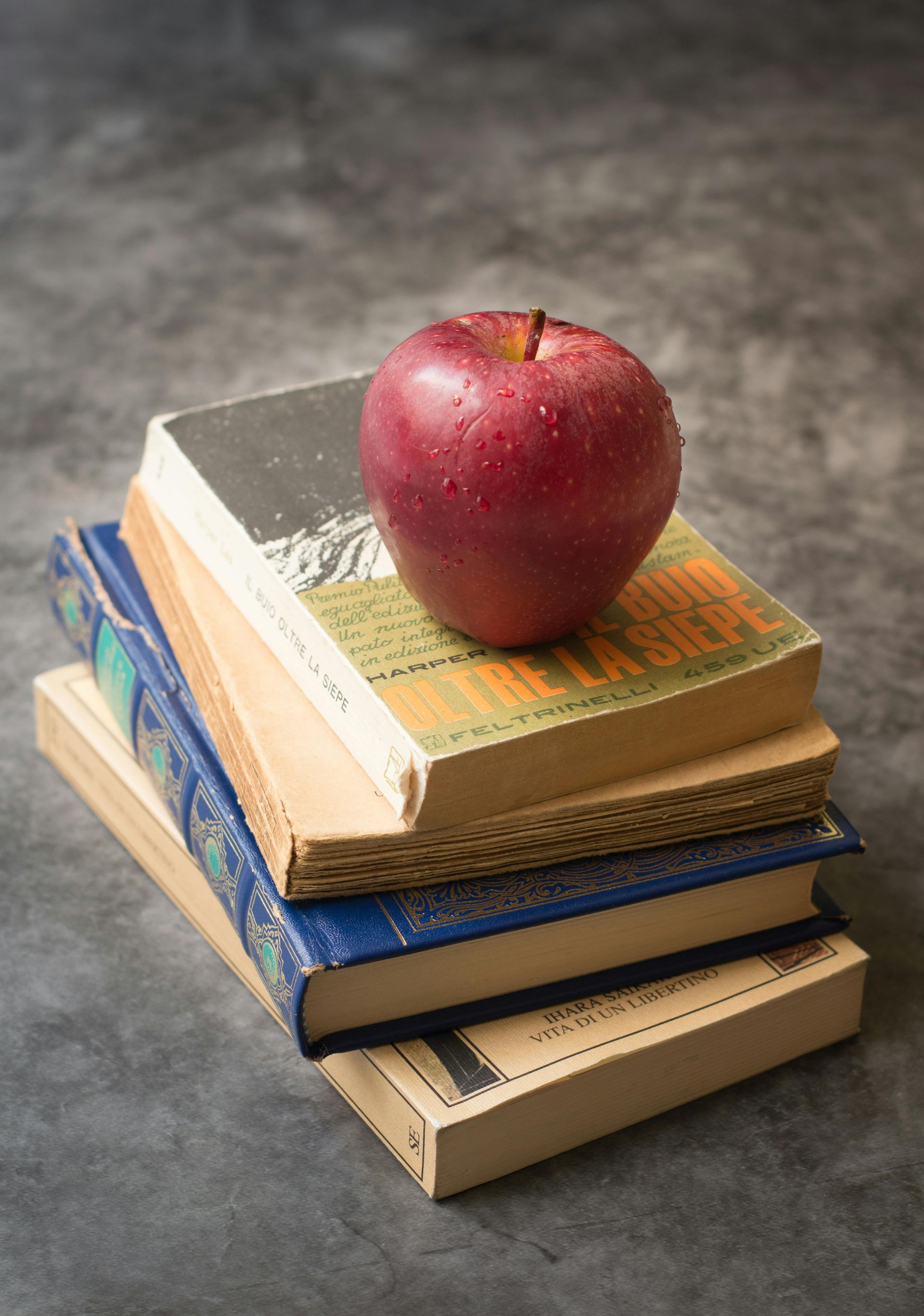 Schools in Kenhorst | Kenhorst Borough | Kenhorst PA