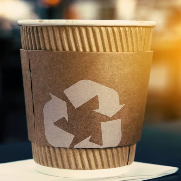 HOME [www.apollopulpandpaper.com]