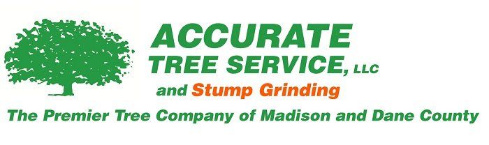 Tree & Snow Removal Company Madison, Middleton Sun Prairie WI | Stump ...