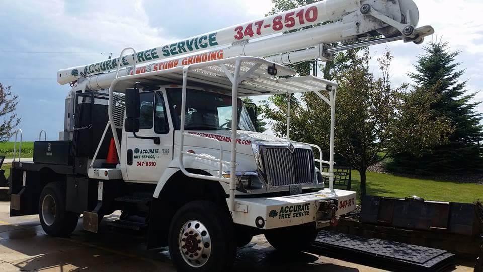 Tree & Snow Removal Company Madison, Middleton Sun Prairie WI | Stump ...