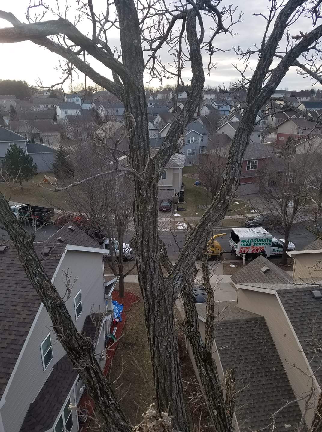 Tree & Snow Removal Company Madison, Middleton Sun Prairie WI | Stump ...