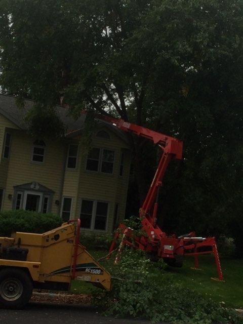 Tree & Snow Removal Company Madison, Middleton Sun Prairie WI | Stump ...