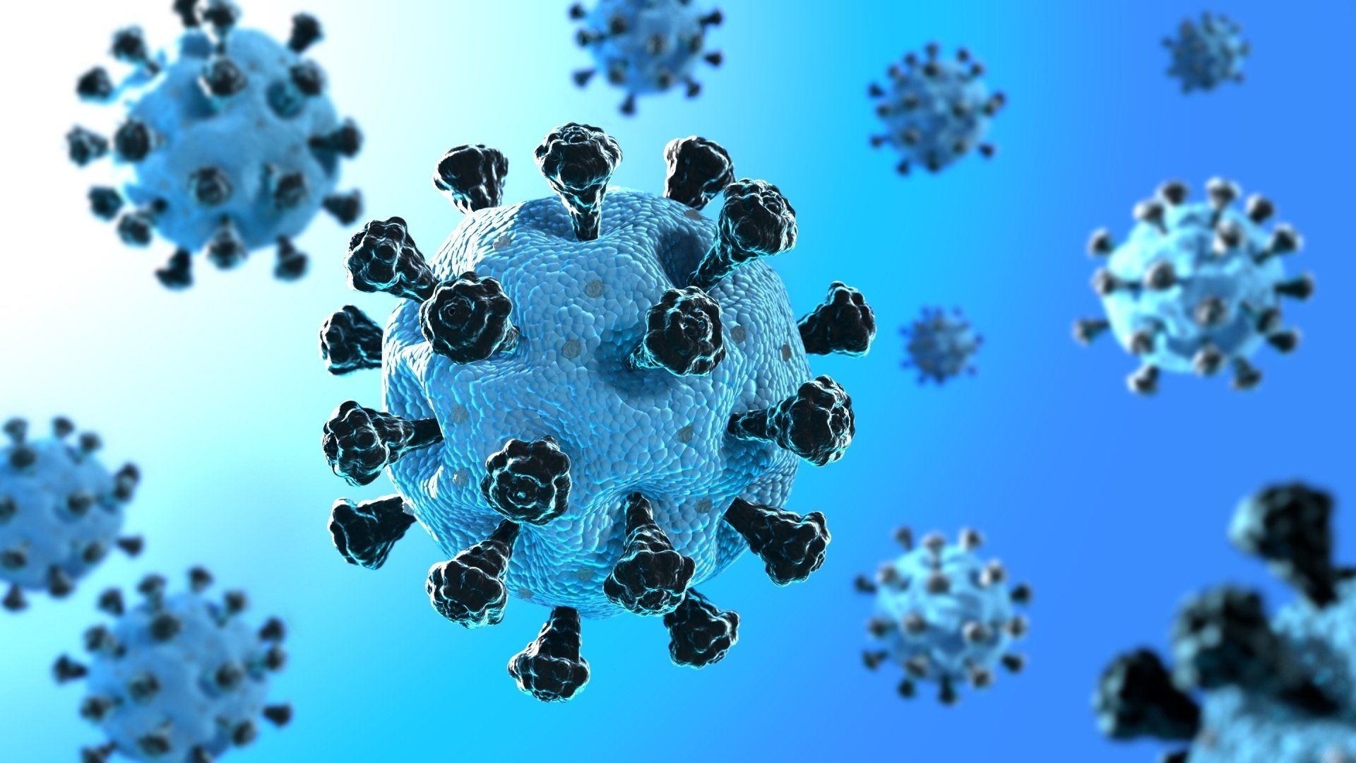 Sustainable Development Solutions Network