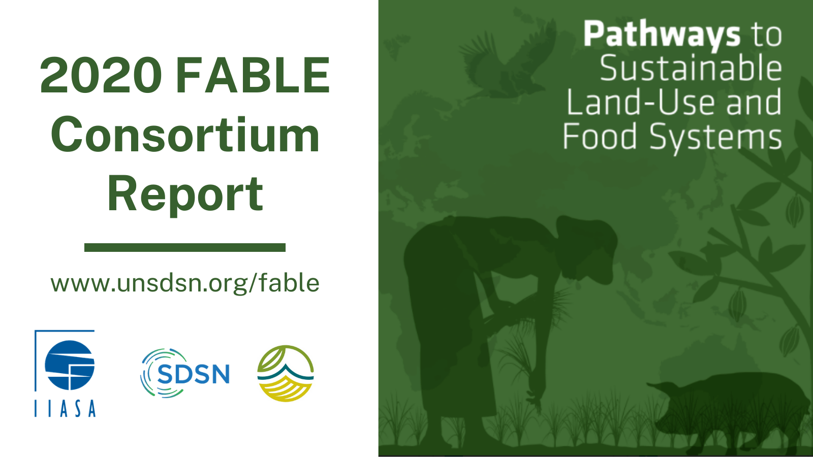 Pathways to Sustainable Land-Use & Food Systems for 20 Countries