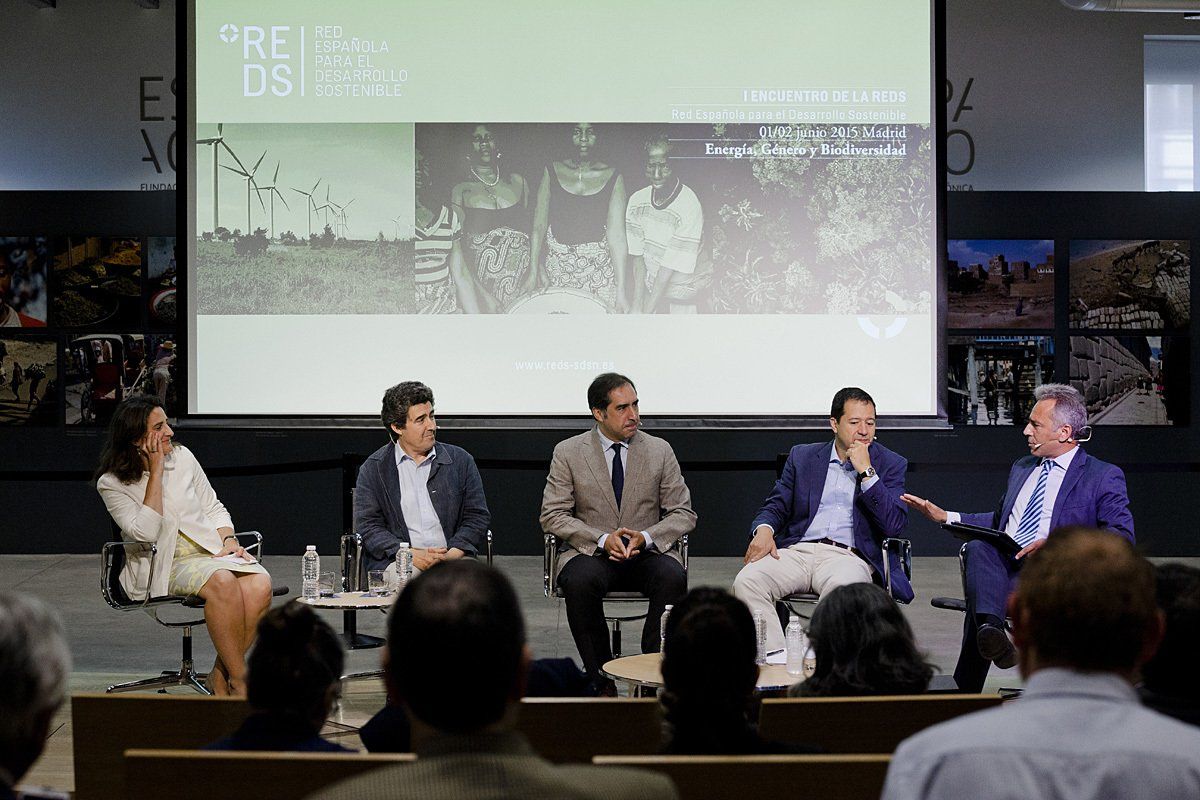 Localization of the SDGs: The Spanish Sustainable Development Network ...