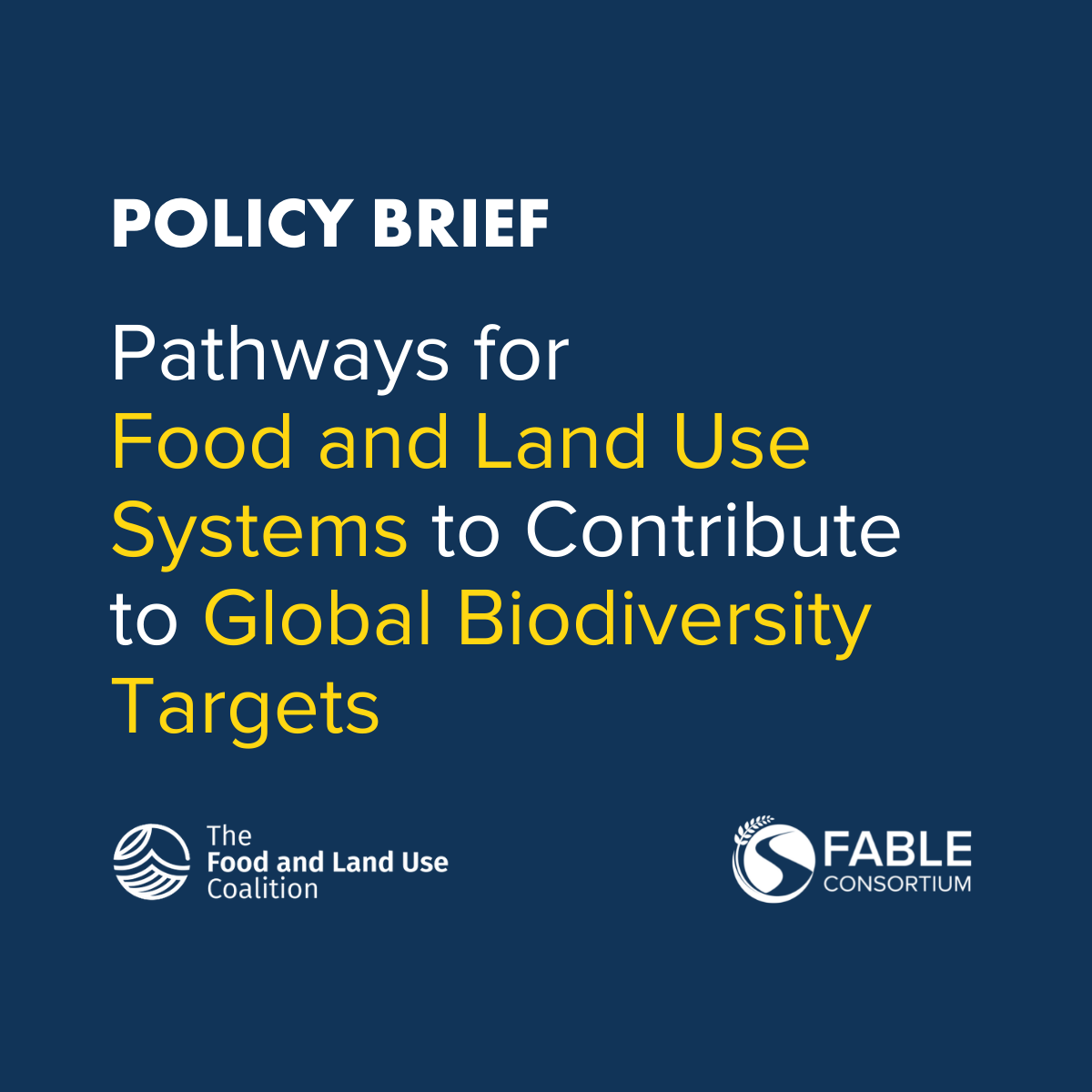 Sustainable Development Solutions Network