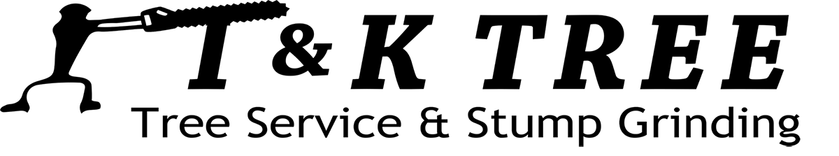 Tree Removal, Trimming, Stump Grinding | New Smyrna Beach & Ormond ...