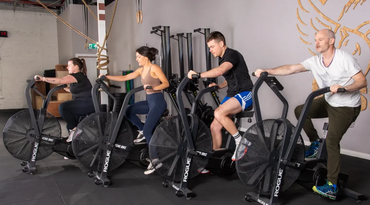 Strength & Conditioning Classes | Wild Way Strength & Function | Galway ...