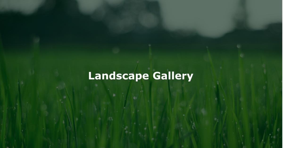 Gallery | Canepa Landscaping