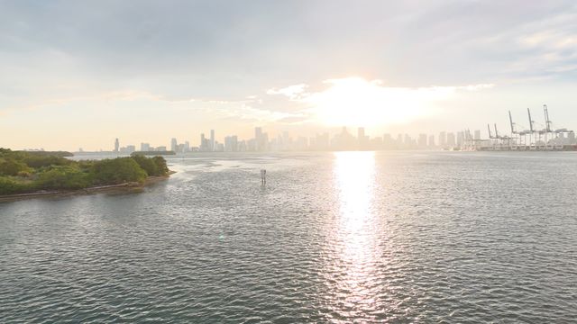 Miami Sunset