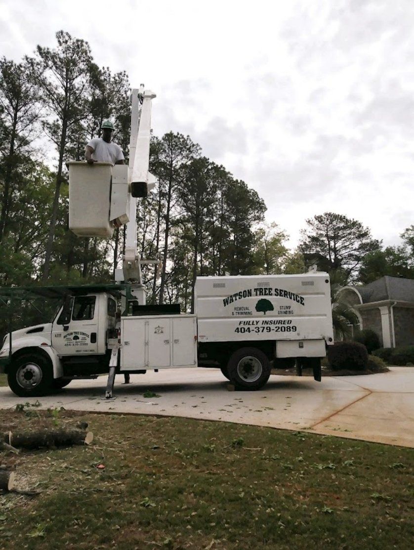 Home [www.watsontreeservice.com]