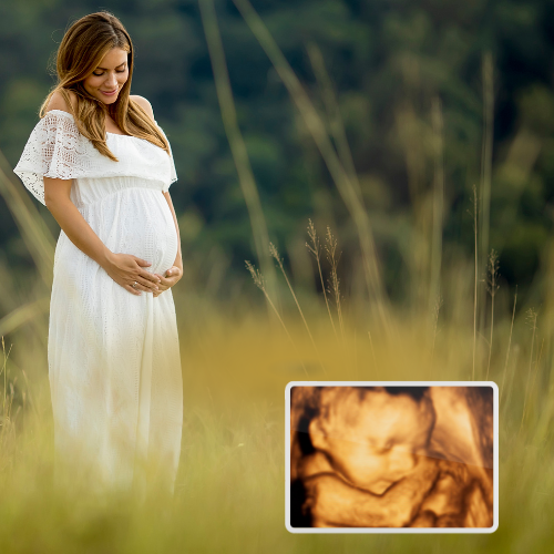 Nature and Motherhood: Capturing the Beauty of Maternity