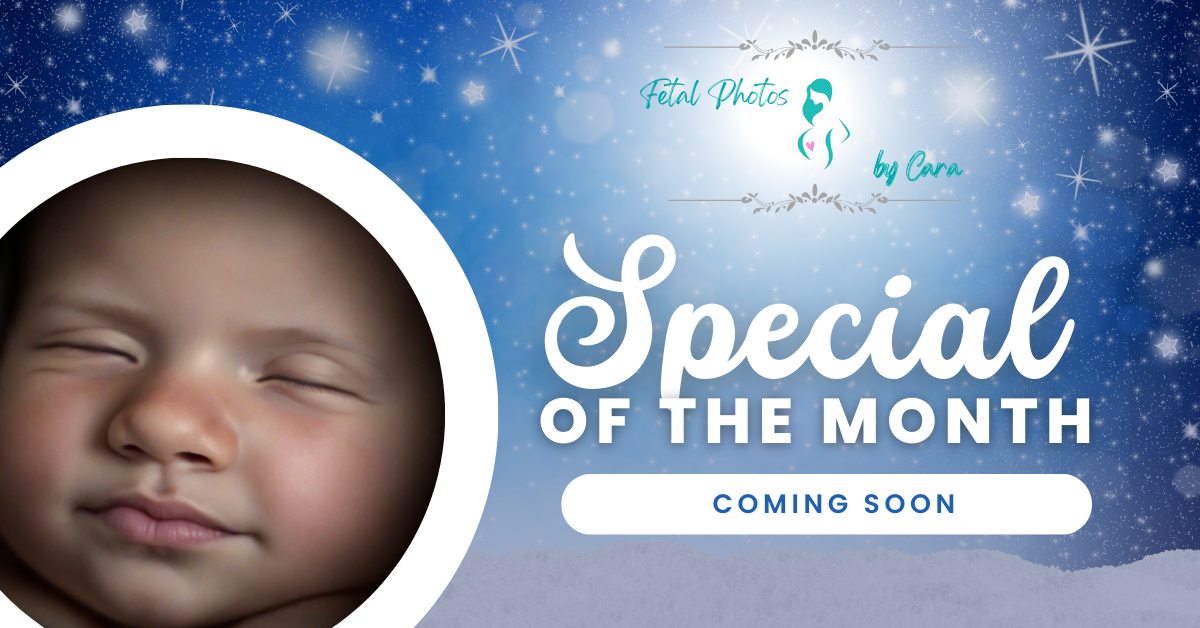 Monthly Specials | Fetal Photos by Cara