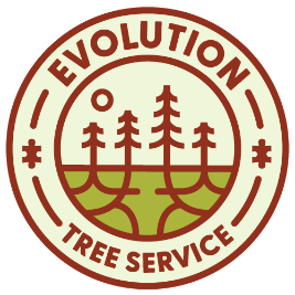 evolution tree care ltd