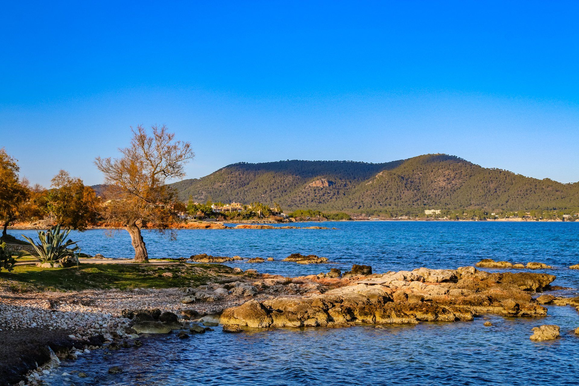 This is Mallorca - Cala Bona