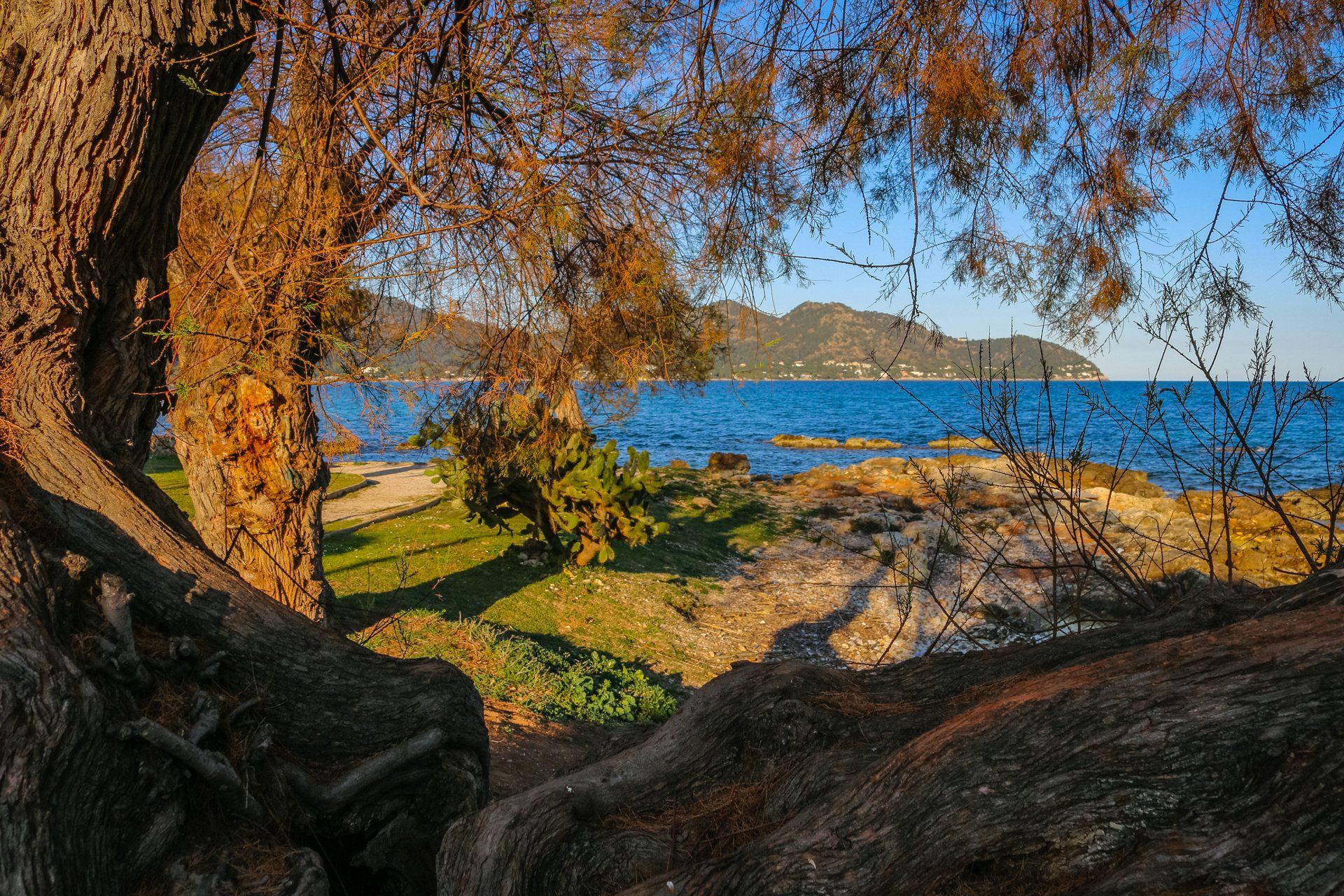 This is Mallorca - Cala Bona