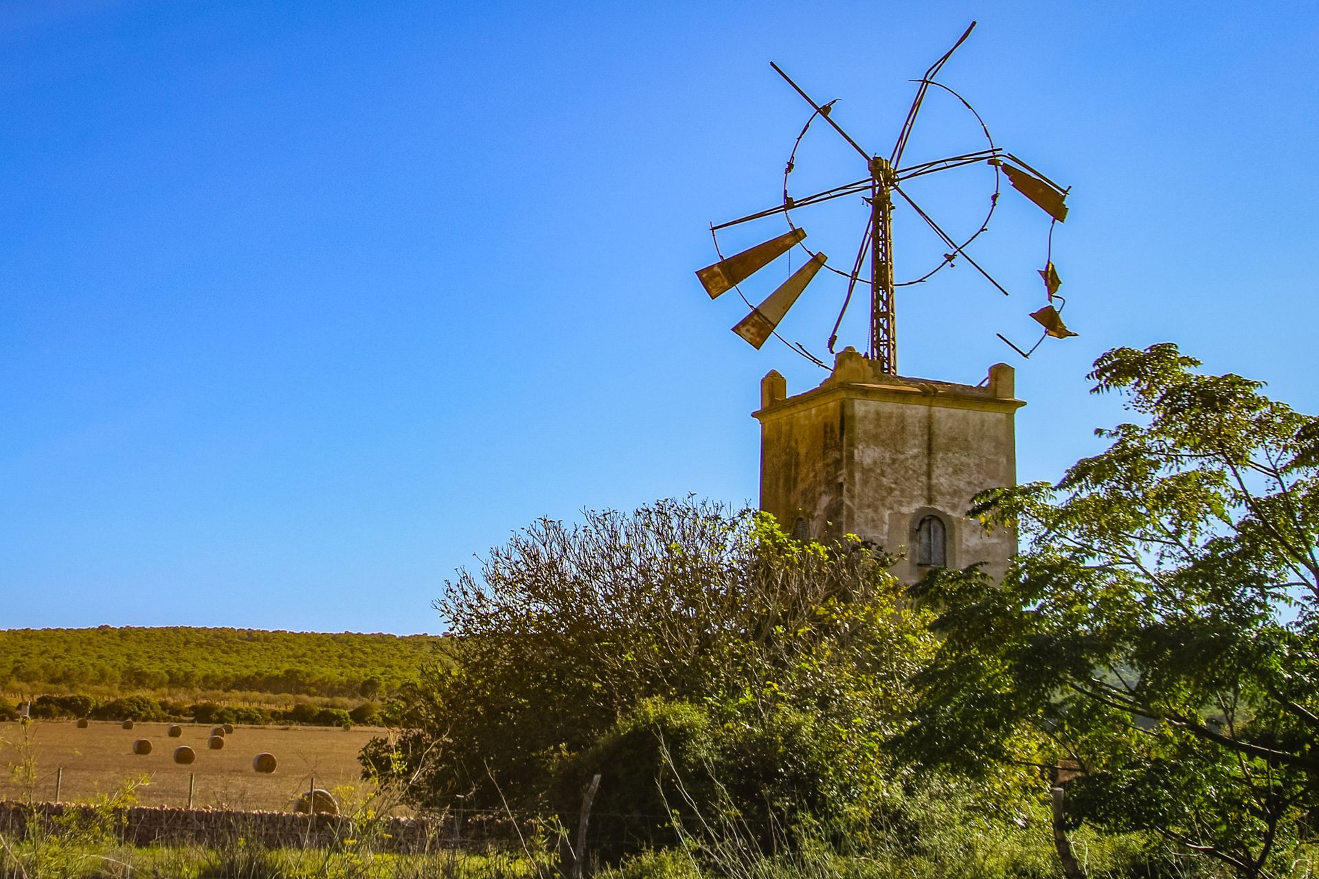 This is Mallorca - Son Ferrer