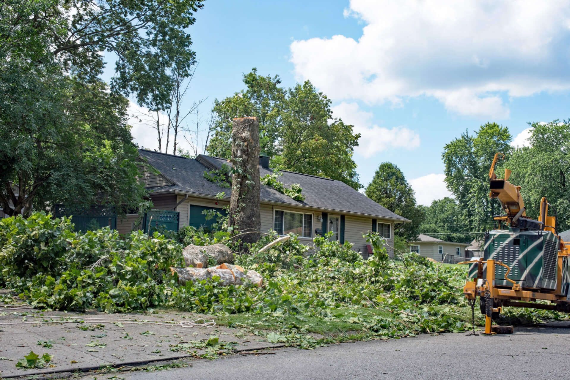 The Essential Guide To Brush Pile Clean Up Services