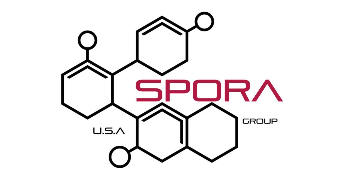 Spora Mold Remediation | Water & Mold Damage Experts