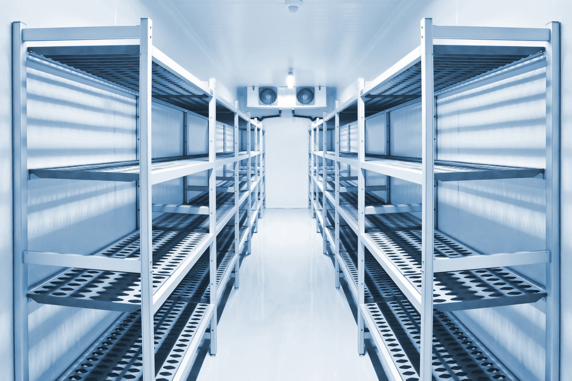 Upcoming Trends Impacting The Cold Storage Sector | Adapt Ideations