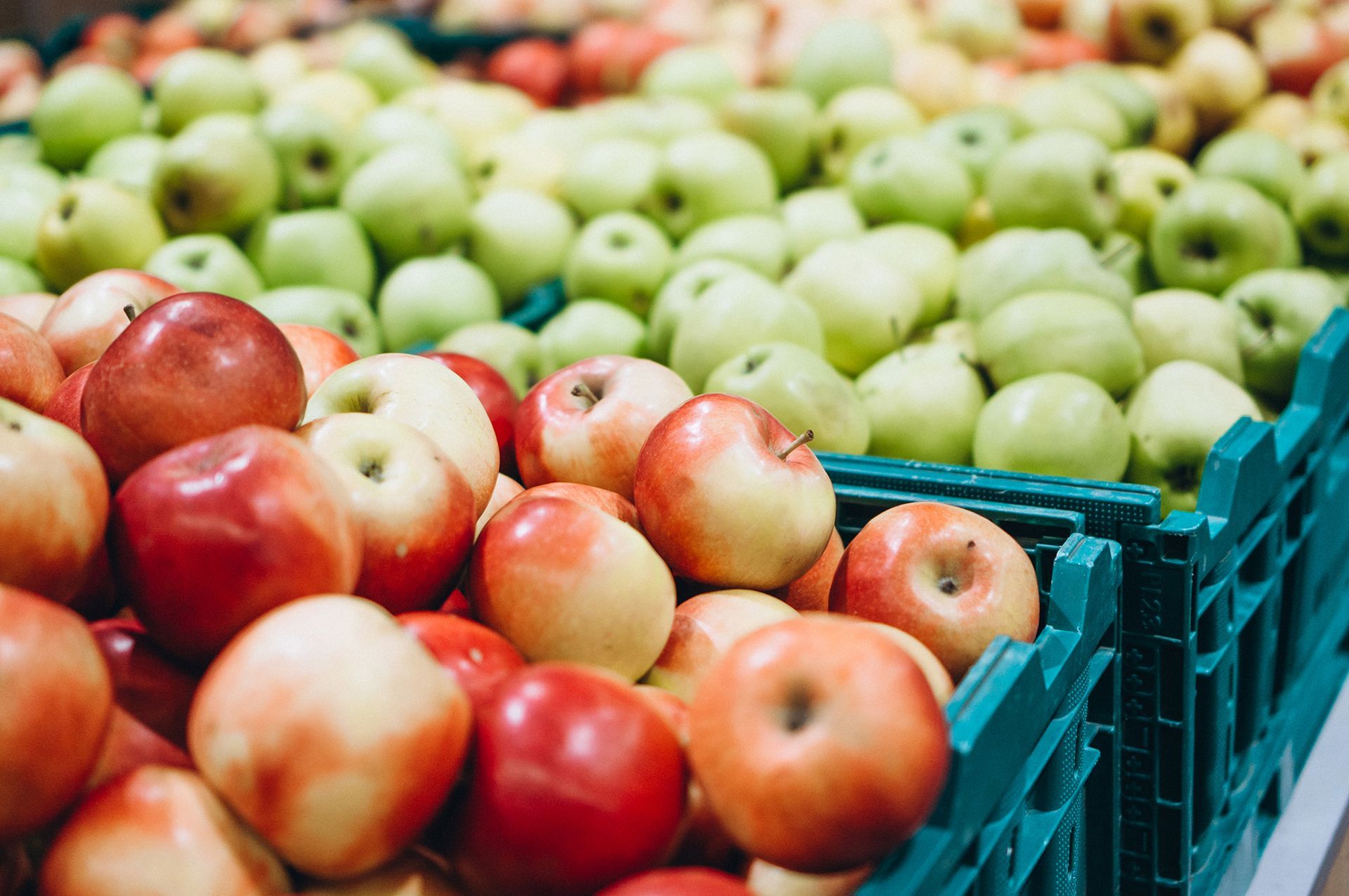 Optimising Perishable Goods Visibility for Success in the ANZ Market